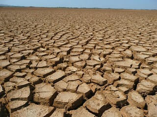 Making the Ordinary Extraordinary – Beacons of Light